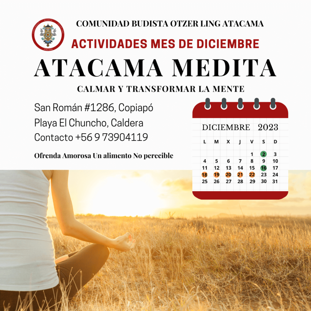 Atacama Medita en Diciembre 2023 | Comunidad Otzer Ling